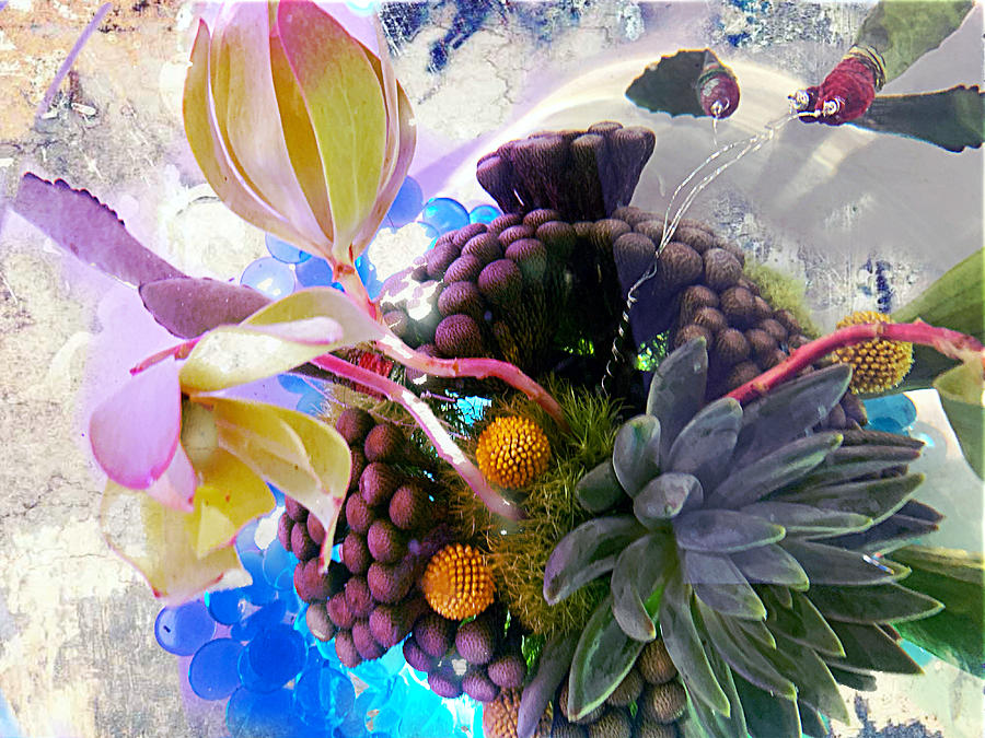 Abstract Creation Digital Art by Don Wright - Fine Art America