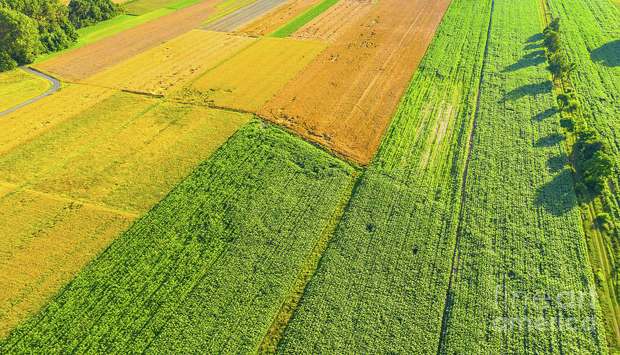 Abstract geometric shapes of agricultural parcels of different c ...