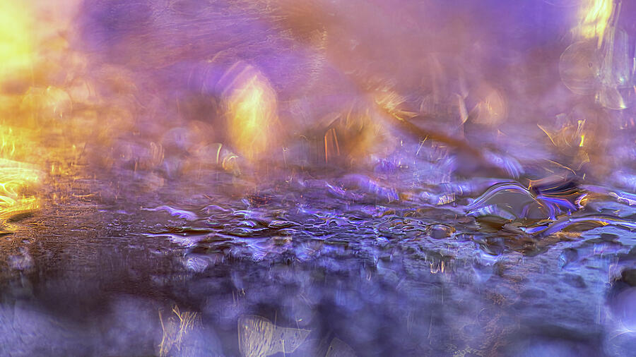 Abstract Magic Photograph by Teresa Wilson - Fine Art America