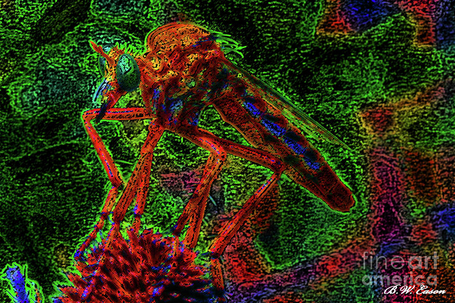 Abstract Robberfly Digital Art by Bart Eason | Fine Art America