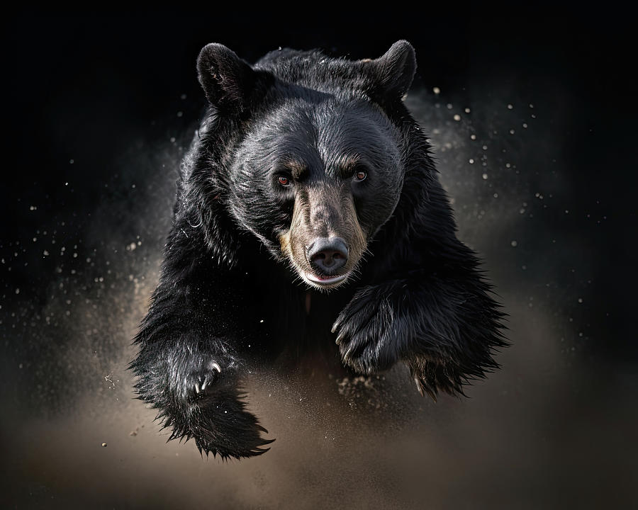 Action Photograph by David Mohn - Fine Art America