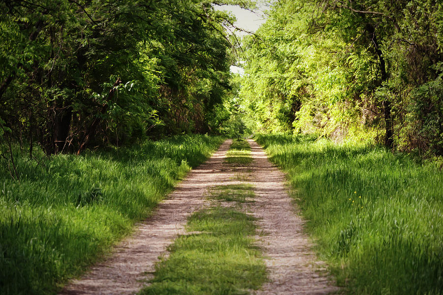 Adventure Path Photograph by Gaby Ethington - Fine Art America