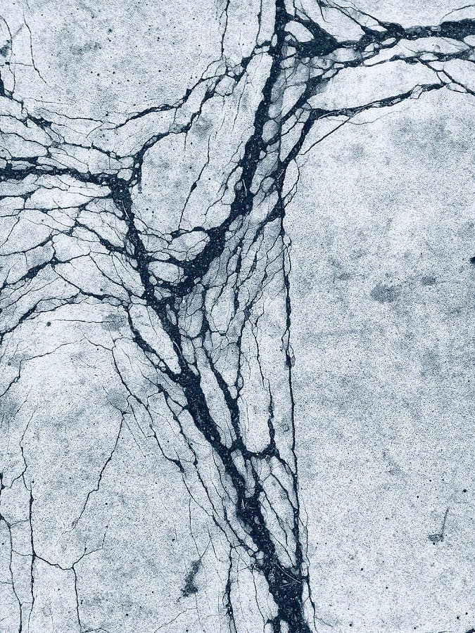 Aged Beauty Photograph by Timothy Devine - Fine Art America