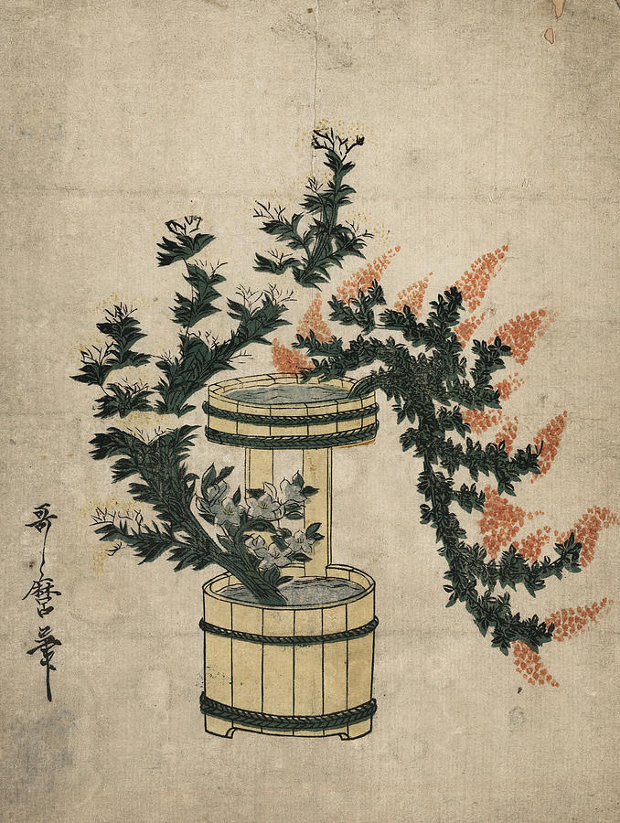 Akikusa no rikka Drawing by Utamaro II - Fine Art America