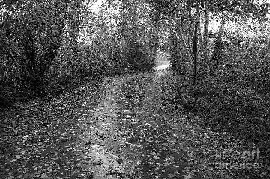 Alder Grove Riverwalk 2022 Photograph By Michael Ziegler Pixels