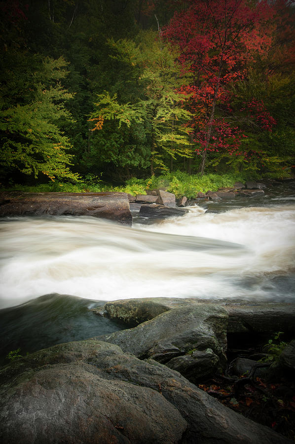 Algonquin Photograph by Nigel Hart - Fine Art America