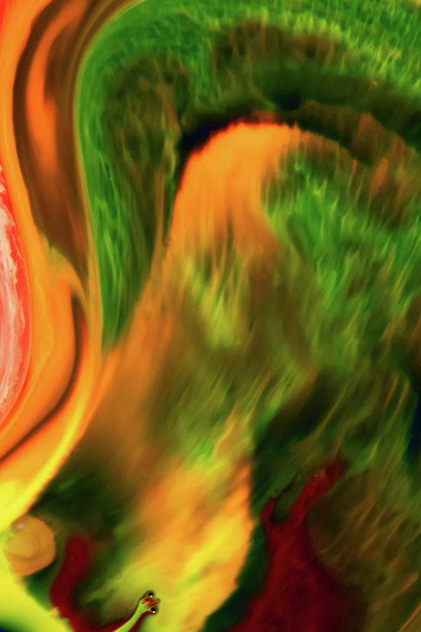 Alien Abstract Photograph by David Thomas