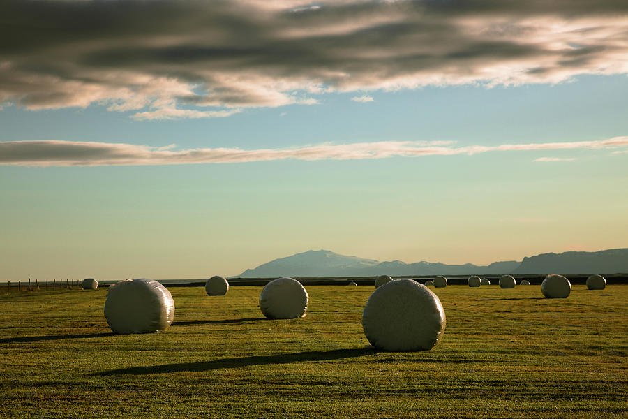 Alien objects Photograph by Alfredo Garza - Pixels