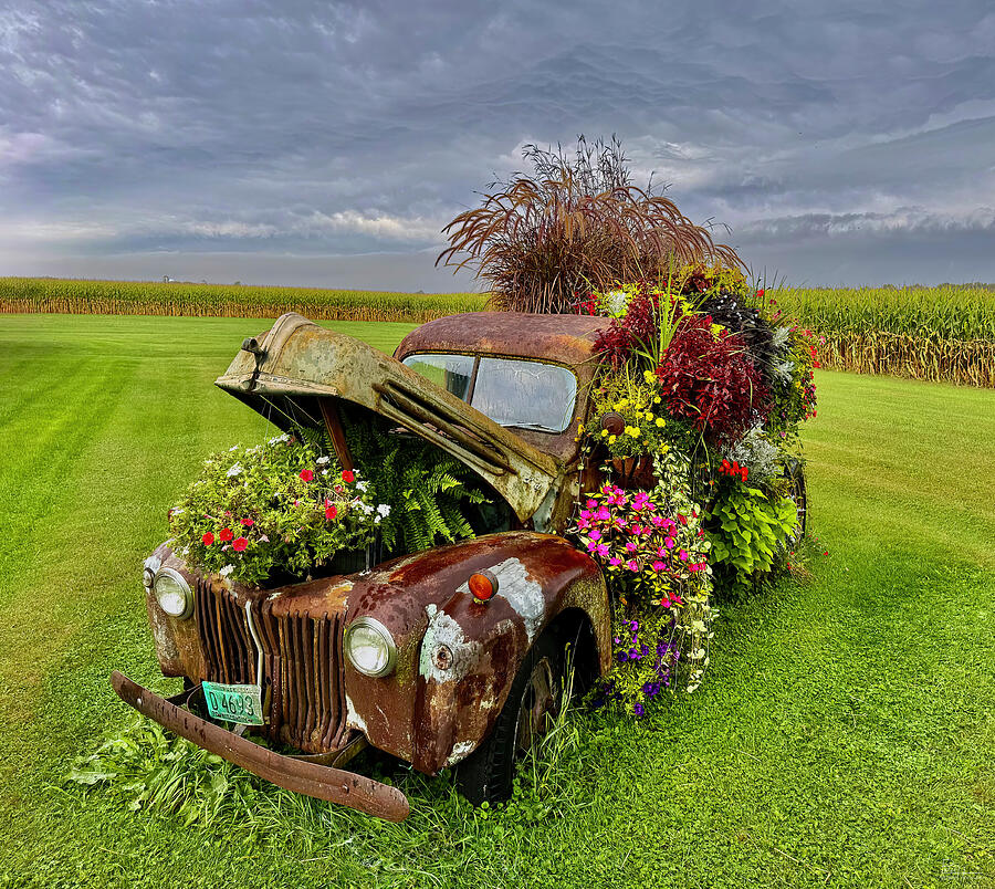 All Gussied Up and No Place to Go #3 of 3 - Flower decorated Ford ...