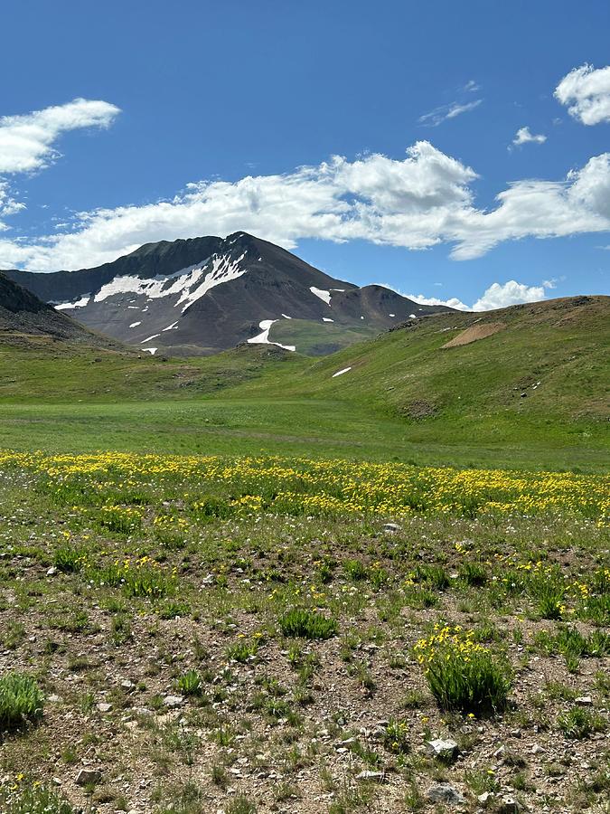 Alpine Loop Photograph by Andrea Johns - Fine Art America