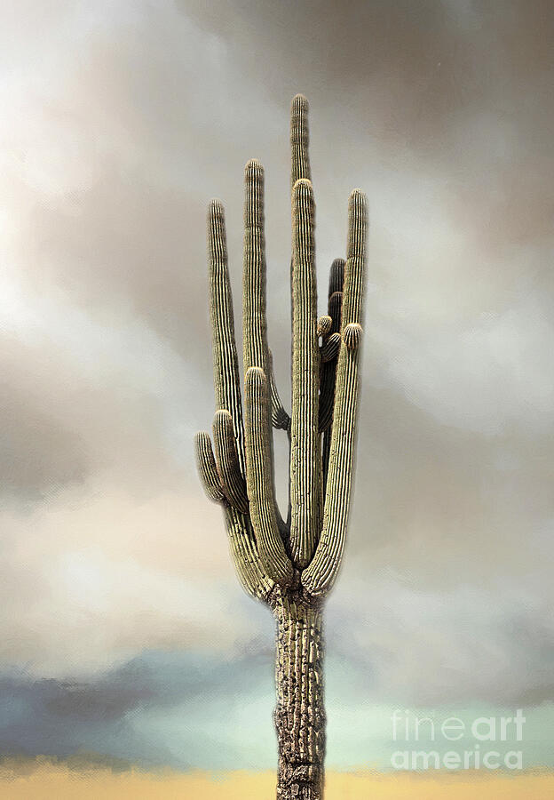 Amazing Saguaro Eight Mixed Media by Elisabeth Lucas - Fine Art America