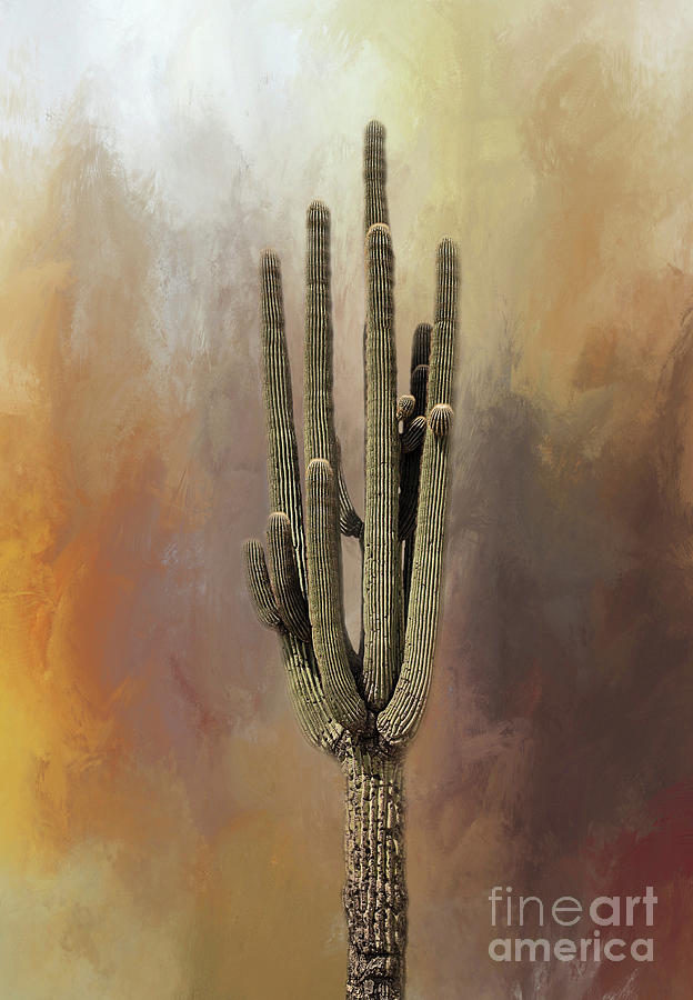 Amazing Saguaro Ten Photograph by Elisabeth Lucas - Fine Art America