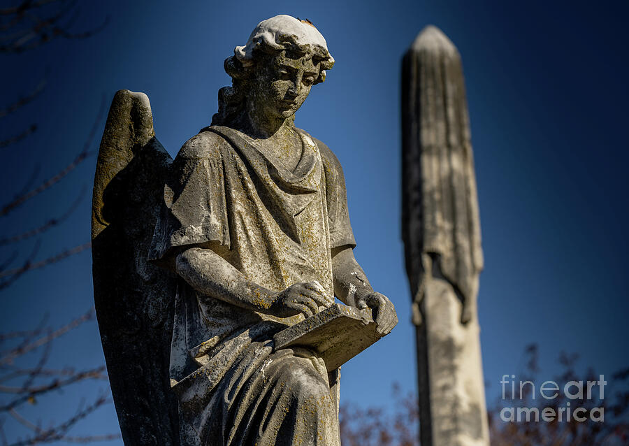 An Angelic Script Photograph by Amy Curtis - Fine Art America