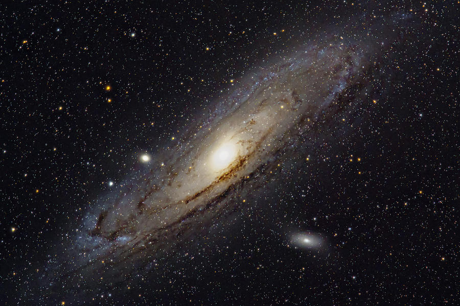 Andromeda Galaxy Photograph by Willard Sharp - Fine Art America