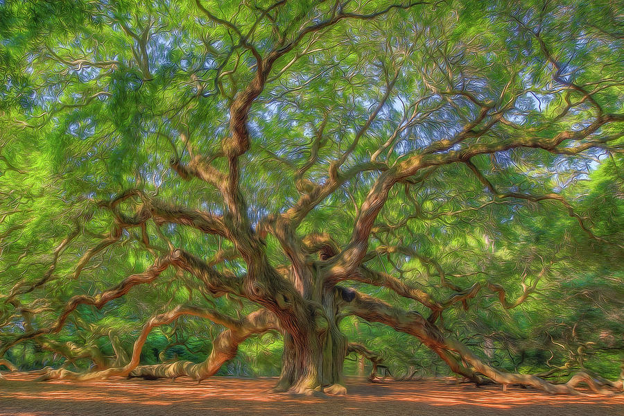 Angel Oak Tree 2 Painted Version Photograph by Steve Rich | Pixels