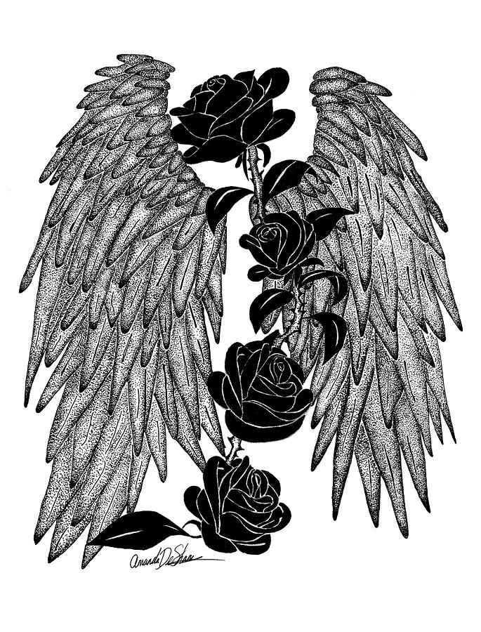 Angel Wing Rose Drawing By Amanda Deshane Fine Art America