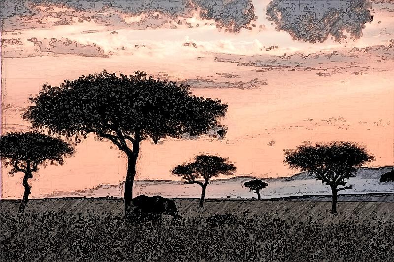 Animal Habitats Drawing at Laverne Haskins blog