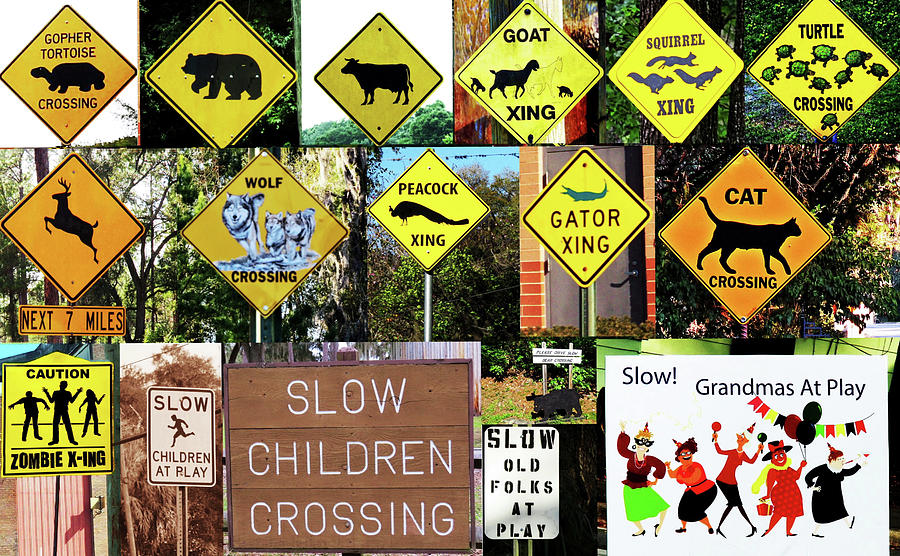 Zoo Warning Signs