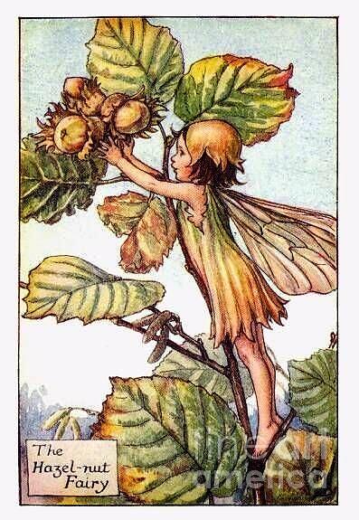 Antique Hazel Nut Fairy Painting by Lisa Tracy - Fine Art America Antique Hazel Nut Fairy Painting by Lisa Tracy - Fine Art America