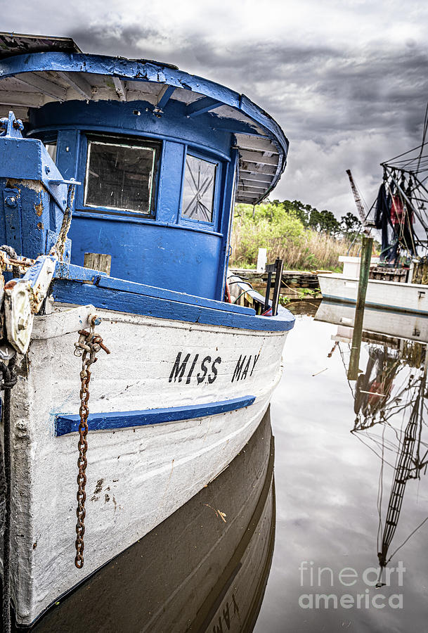 Ap 81 Photograph by Allen Simmons - Fine Art America