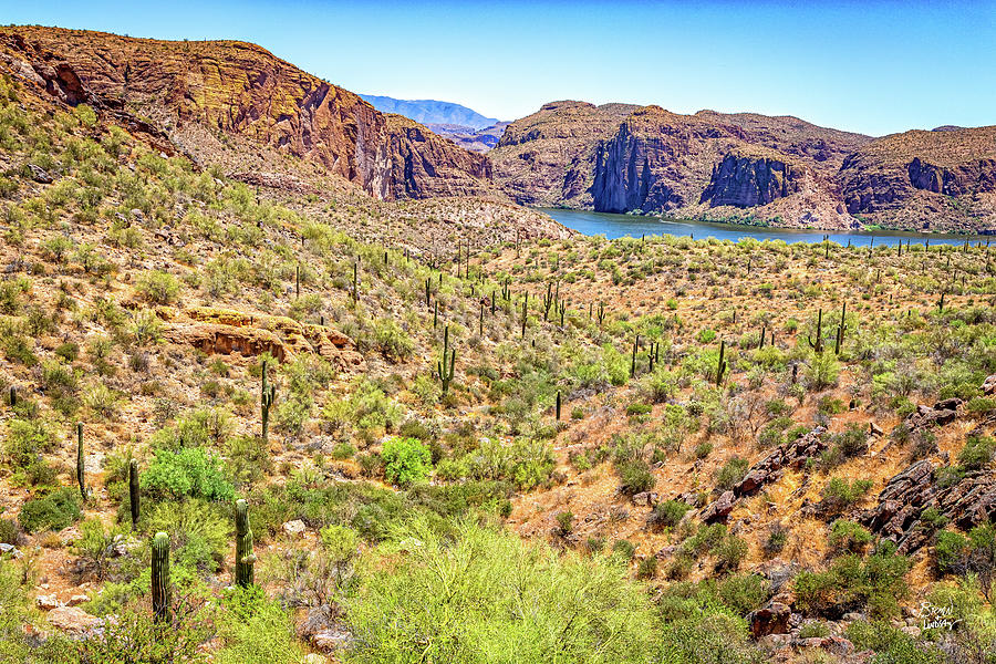 Apache Trail Arizona Photograph by Gestalt Imagery - Fine Art America