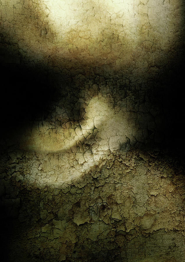 Arcano 2 Digital Art by DST - Daniel Scheer Trindade - Fine Art America