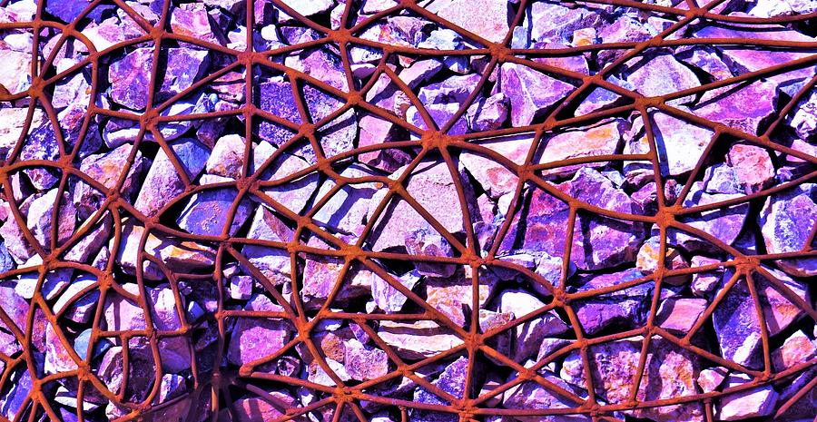 Art Within Art Photograph by Frederick Hahn - Fine Art America