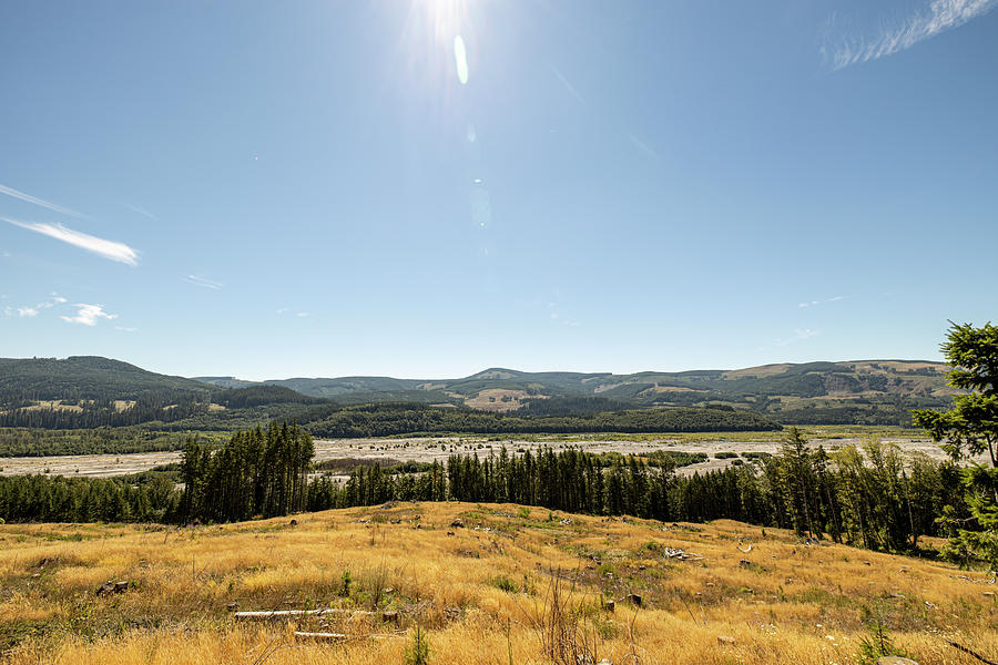 Ash fields Photograph by Patrick Lyon - Fine Art America