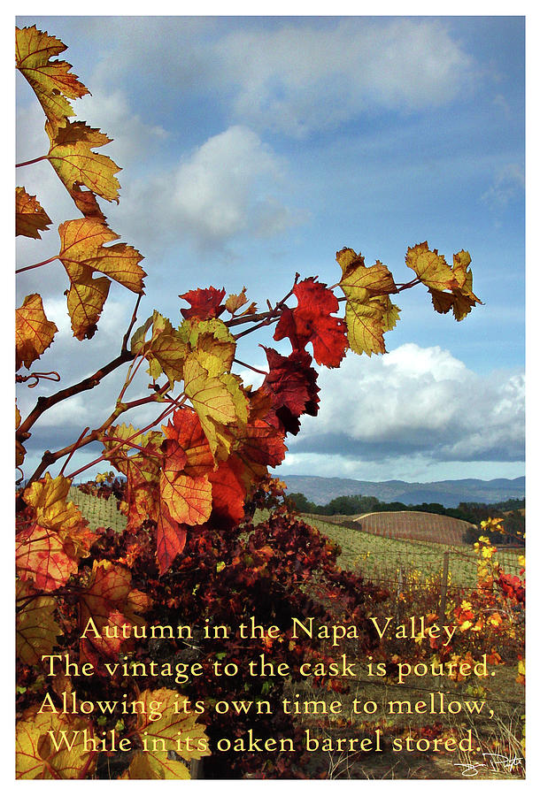 Autumn In The Napa Valley A Poem One Of Four Verses Photograph By Jim Pryts Pixels