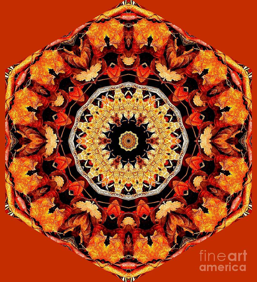 Autumn Mandala Digital Art by L A Feldstein - Fine Art America
