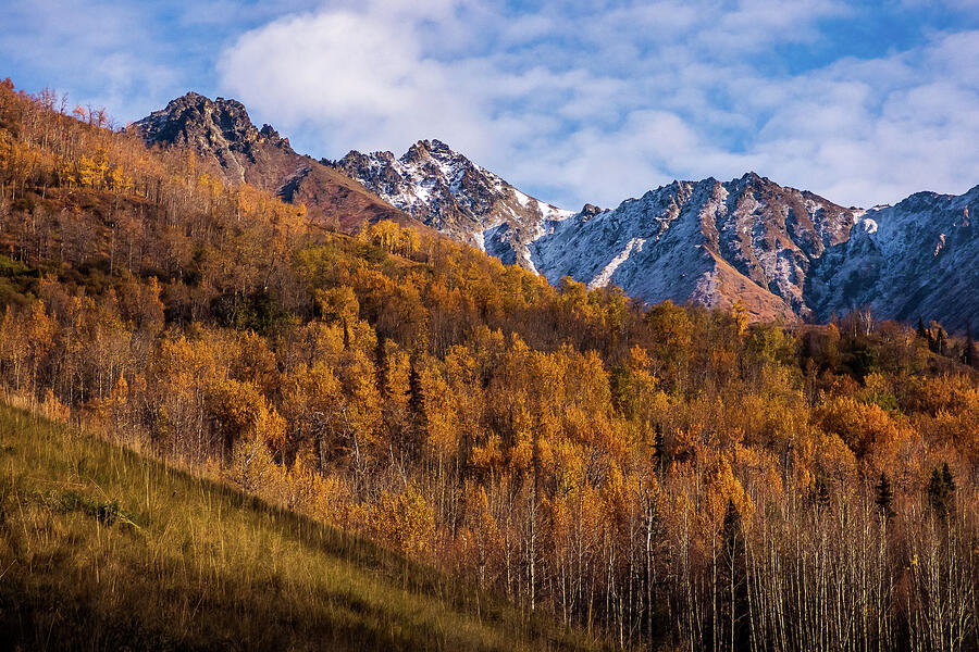 Autumn on Matanuska Peak Photograph by Dianne Milliard - Fine Art America