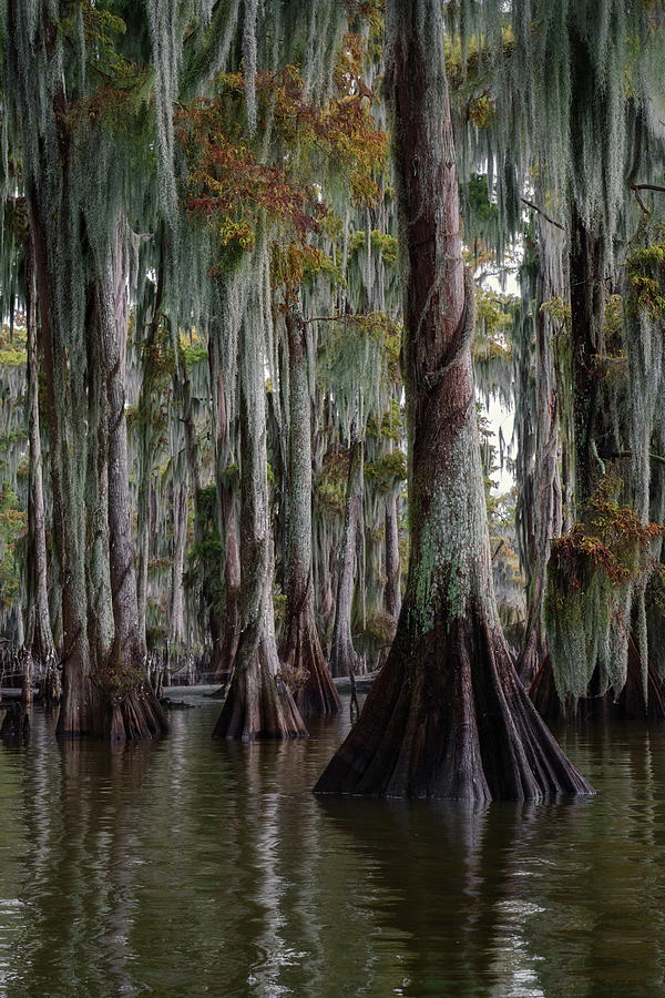 Autumn on the Bayou Photograph by Rick Berk - Fine Art America