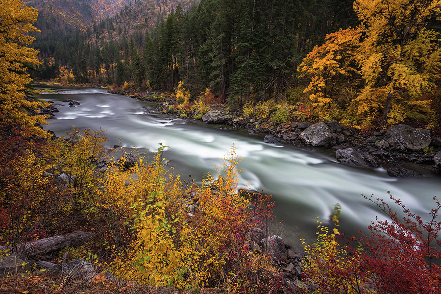 Autumn On The River Photograph by Calazone's Flics - Fine Art America