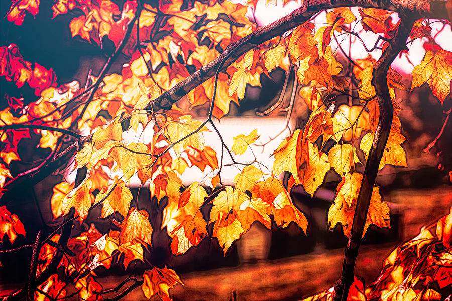 Autumn Symphony Photograph by Jim Love - Fine Art America