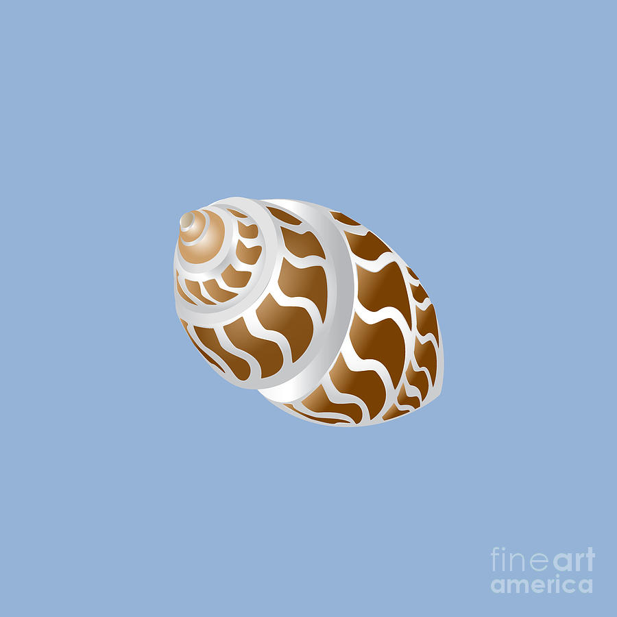 Babylon Shell Digital Art by Kathryn Yoder - Fine Art America