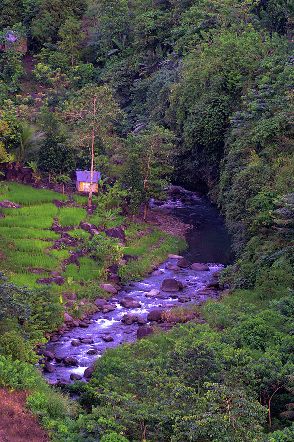 Bago River Tributary Photograph by Lik Batonboot | Pixels