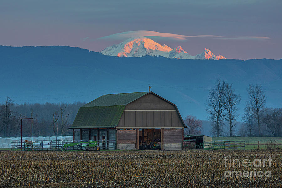 Baker Blinking Photograph by Randy Small - Pixels