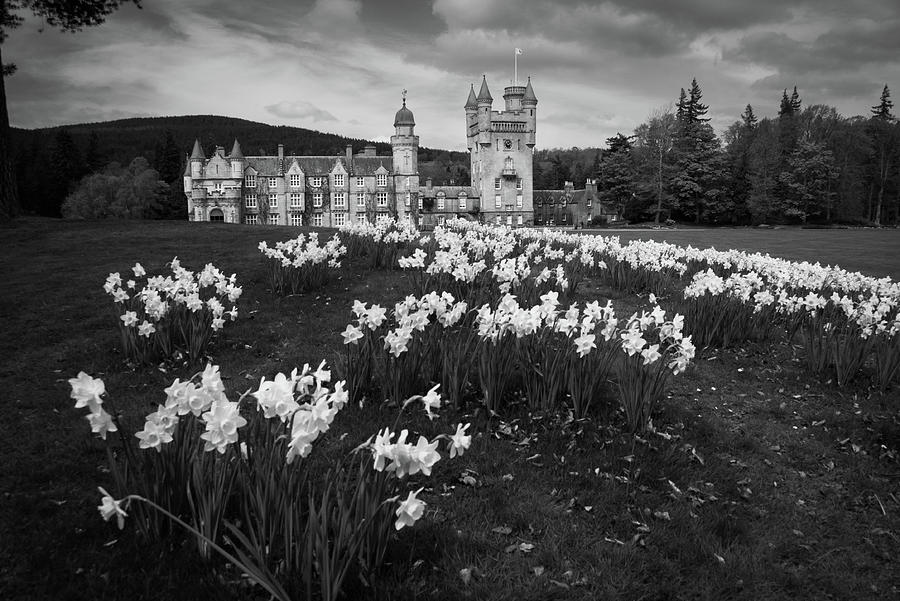 Balmoral Castle in spring Photograph by Dorit Fuhg - Fine Art America