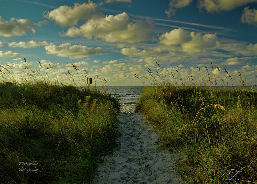 Path to the Ocean Photograph by Robert Ratcliffe - Fine Art America
