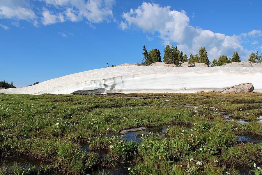 Beartooth Spring Melt Photograph by Brent Jacobs - Fine Art America