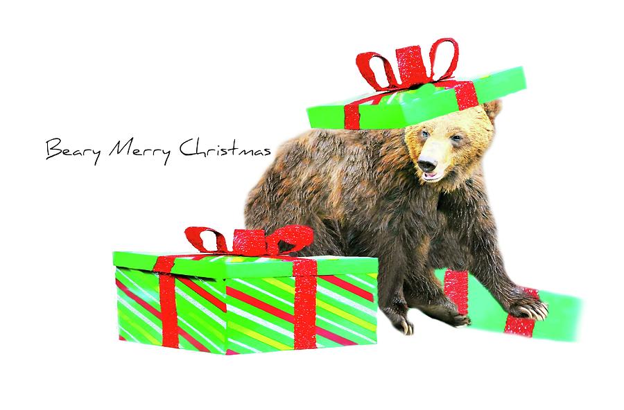 Beary Merry Christmas Photograph by Diana Angstadt - Fine Art America