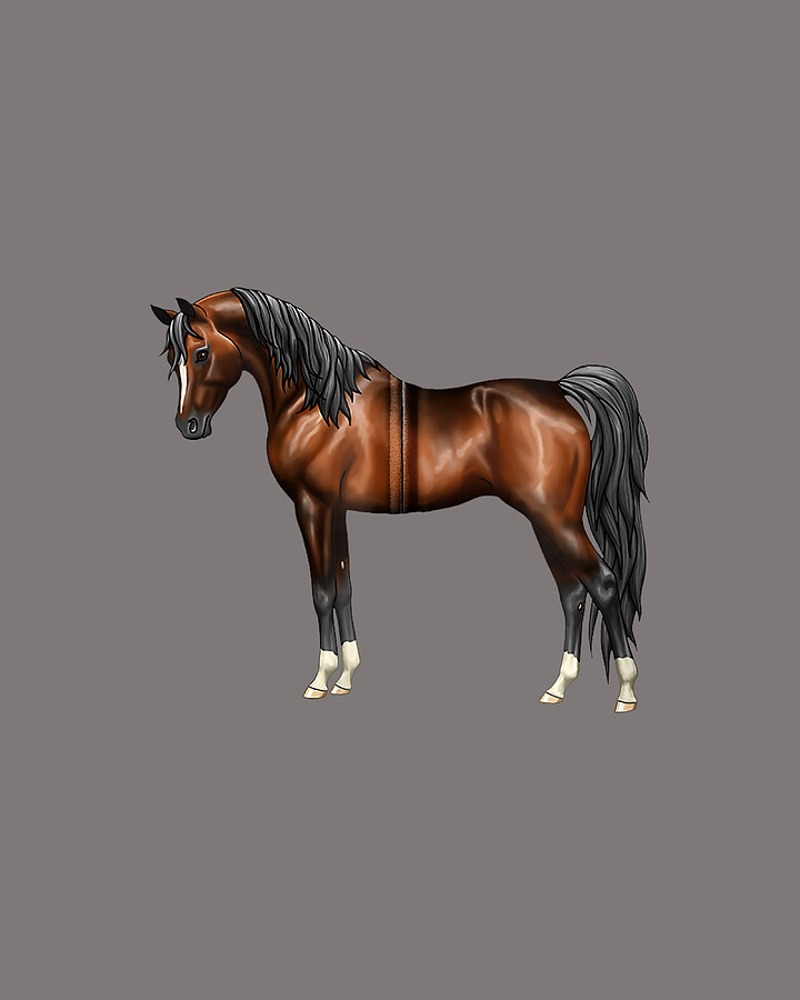 Beautiful Dark Brown Bay Egyptian Arabian Horse Lovers Digital Art by ...