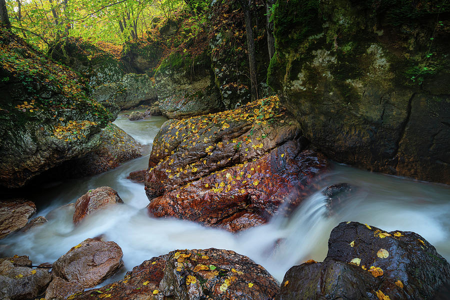 Beautiful hidden gems Photograph by Cosmin Stan - Fine Art America Beautiful hidden gems Photograph by Cosmin Stan - Fine Art America