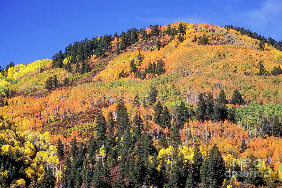 Beautiful San Juan Mountain Colors Photograph by Bob Phillips - Fine ...
