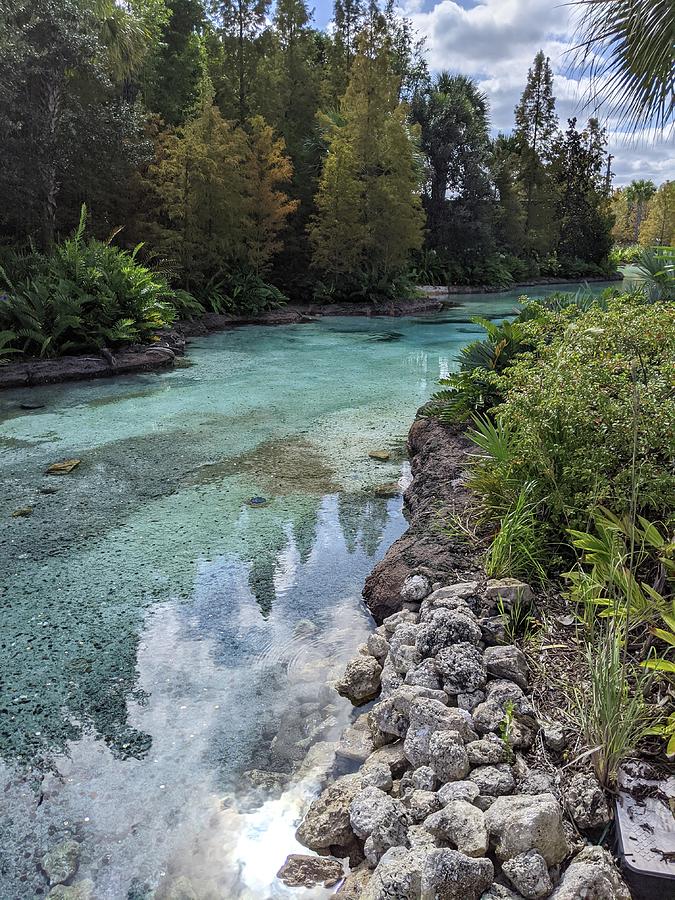 Beautiful Stream Photograph by Michael Thacker - Fine Art America
