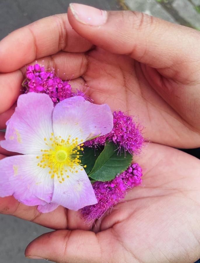 Beauty all around us Photograph by Inna Baltaca - Fine Art America