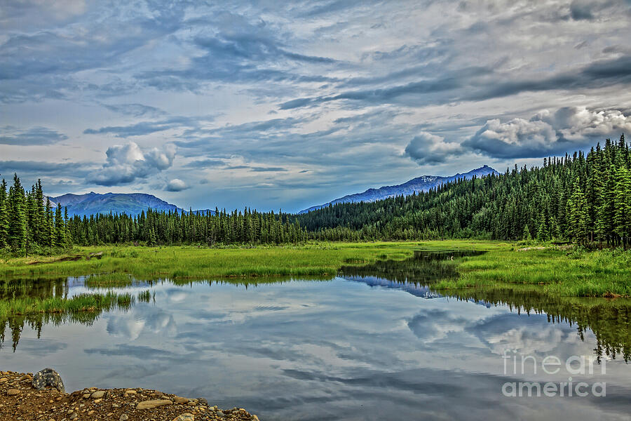 Beaver Pond Backwater Photograph by Robert Bales | Fine Art America