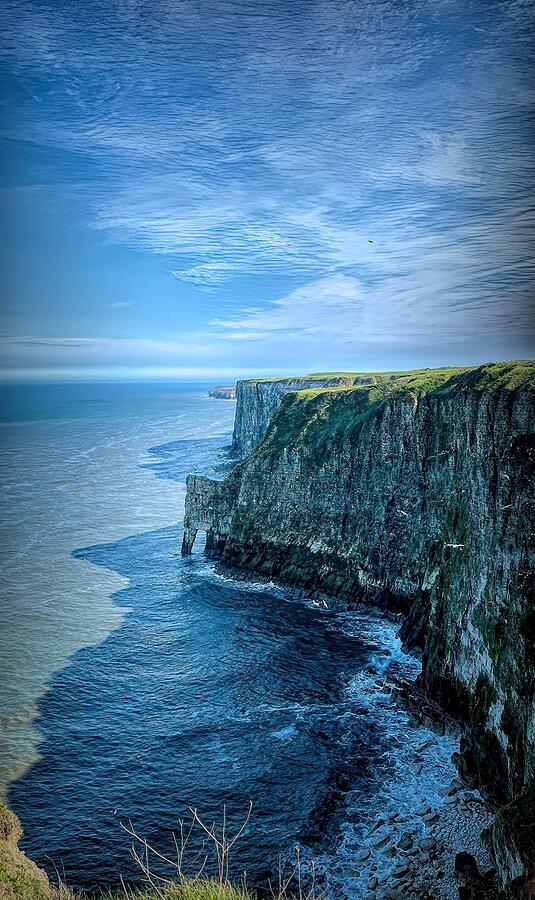Bempton Cliffs Photograph by Mo Barton - Fine Art America