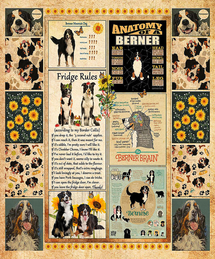 Bernese Mountain Dog Anatomy Of A Berner Digital Art by Do Tran Quang - Fine Art America