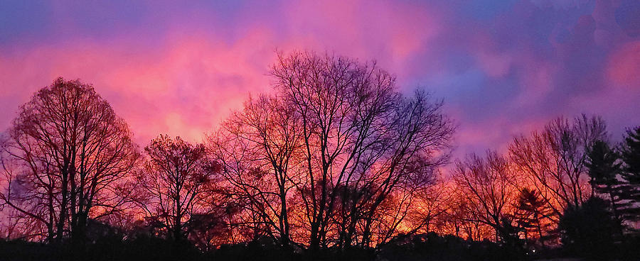 Berry Flavored Sky Photograph by Destiny Fisher - Fine Art America